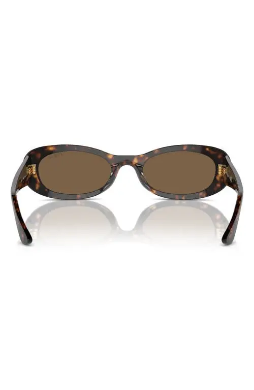 VOGUE 53mm Oval Sunglasses - Dark Havanah/dark Brown