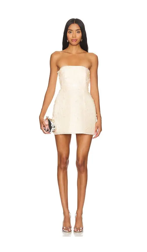 LOVERS AND FRIENDS Bailey Mini Dress