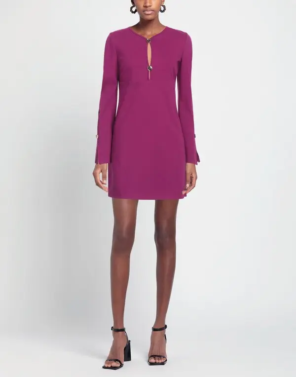 Pinko Mini Flared Dress With Metal Appliqués - Purple