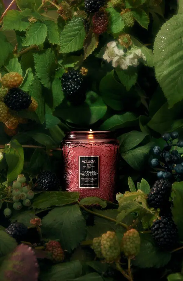 Voluspa Small Jar Candle