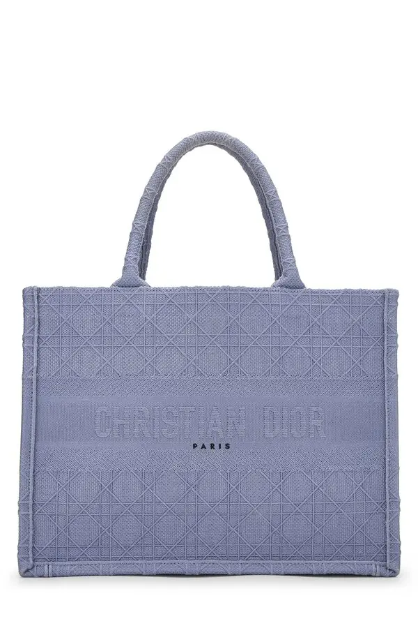 Dior Book Tote - Blue