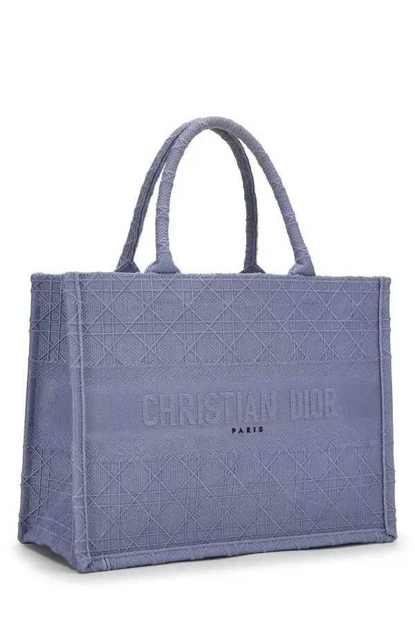 Dior Book Tote - Blue