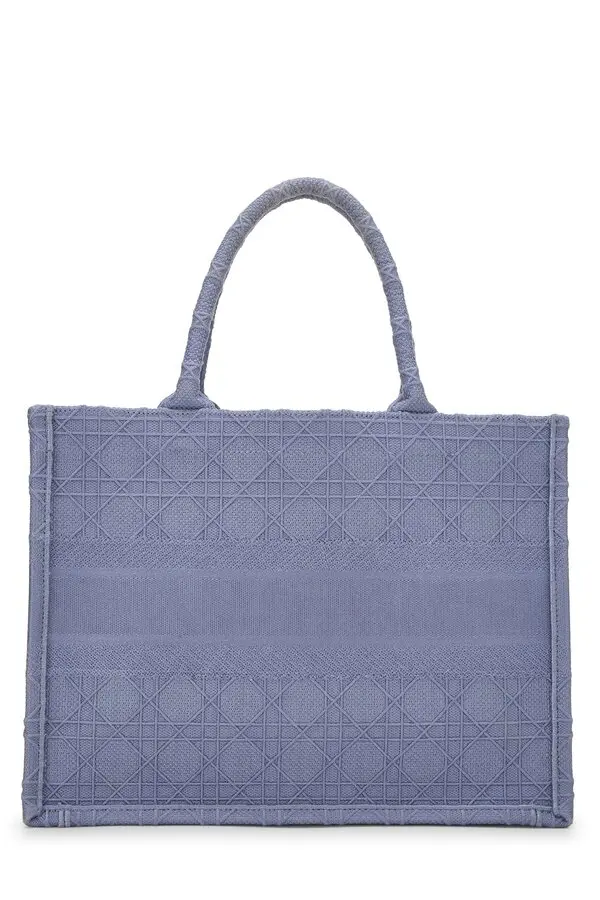 Dior Book Tote - Blue