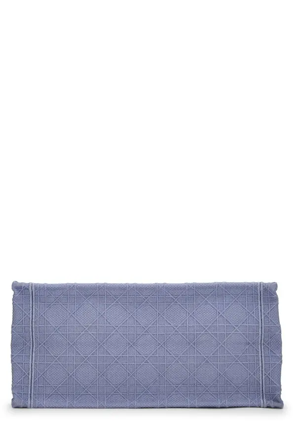 Dior Book Tote - Blue