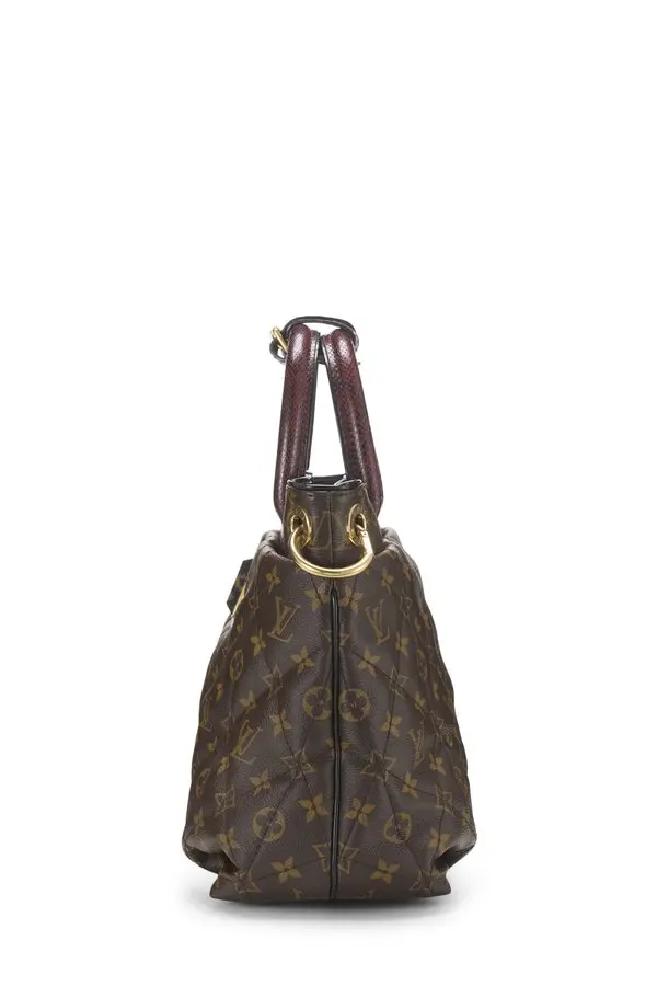 LOUIS VUITTON Limited Edition Monogram Etoile Exotic Tote