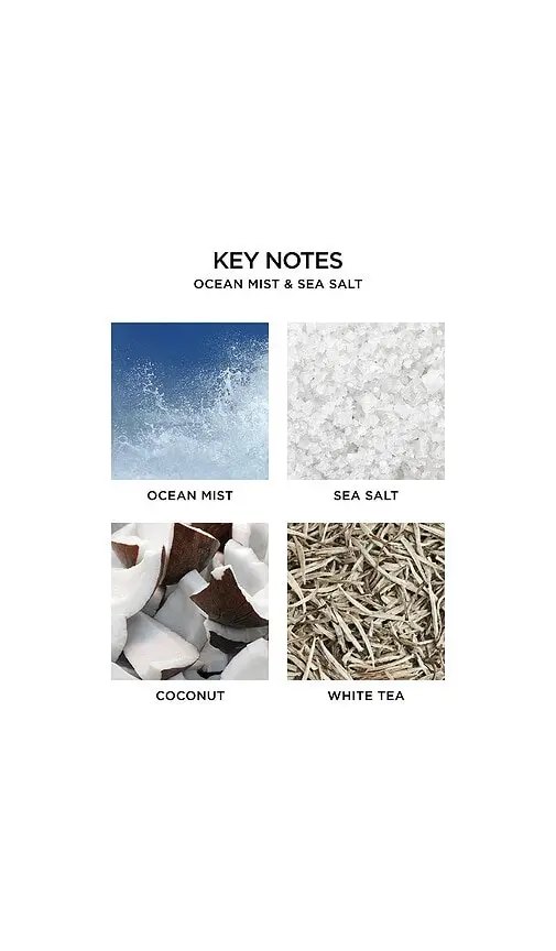 NEST NEW YORK Ocean Mist & Sea Salt Reed Diffuser