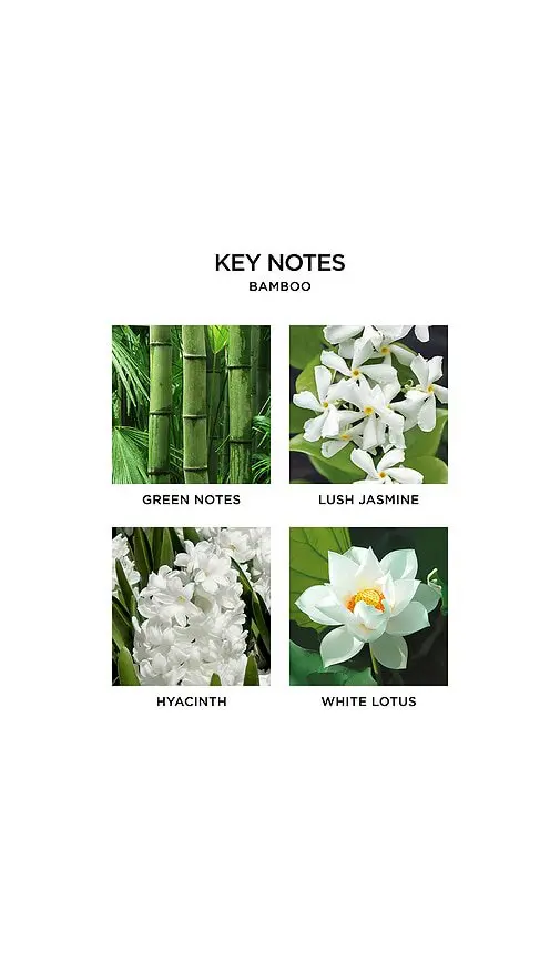 NEST NEW YORK Bamboo Reed Diffuser