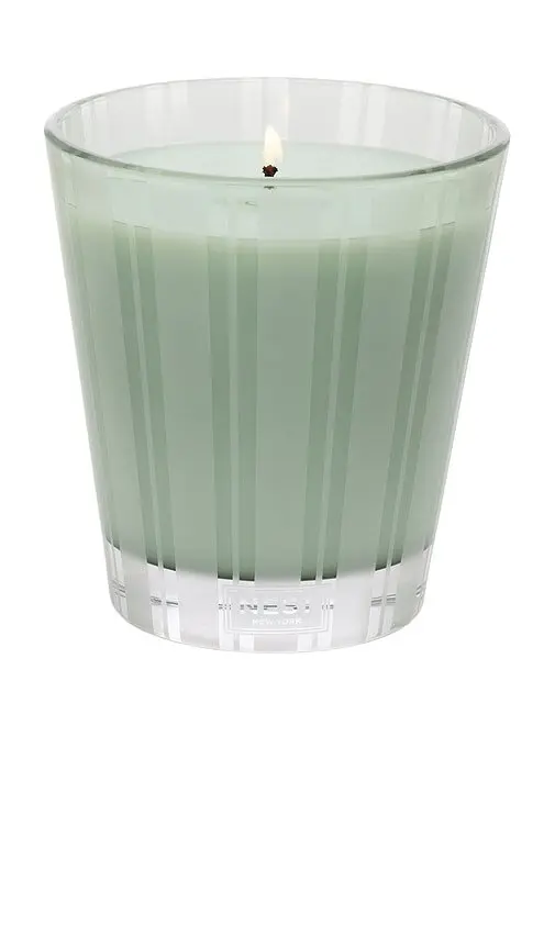 NEST NEW YORK Wild Mint & Eucalyptus Classic Candle - N,a