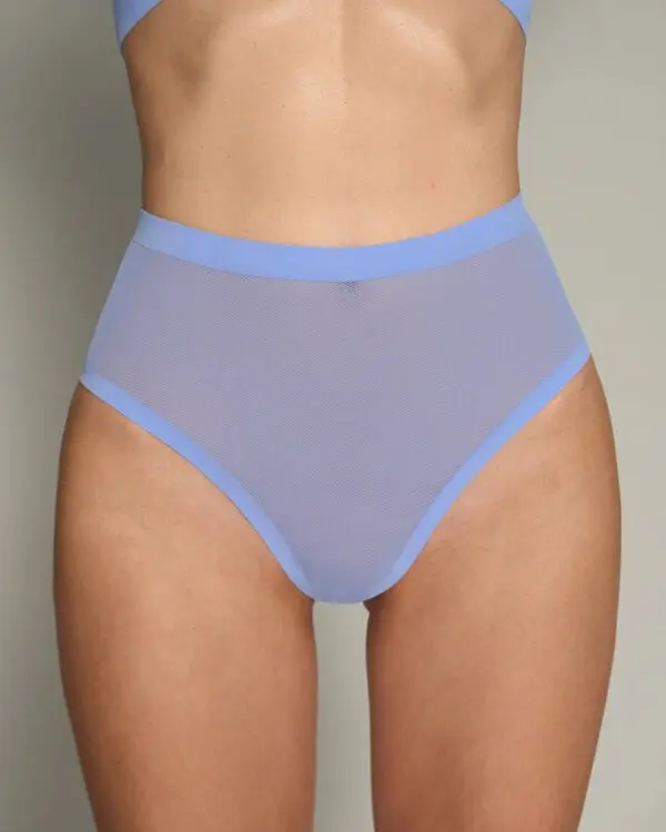EBY Mesh High Cut Waisted Panties, Seamless - Jacaranda