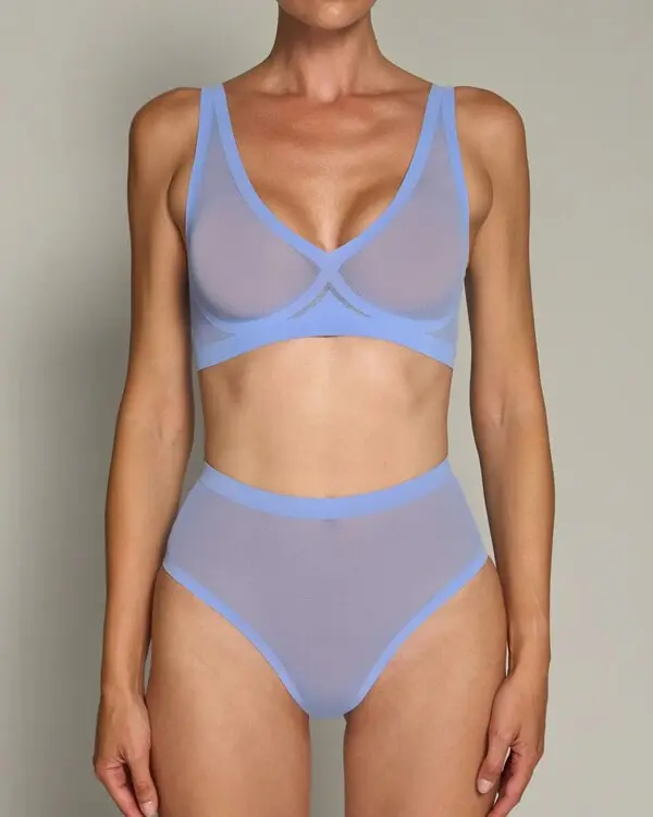 EBY Mesh High Cut Waisted Panties, Seamless - Jacaranda