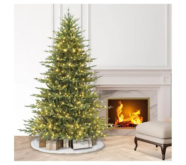 PULEO INTERNATIONAL Pre-lit Dorchester Fir Christmas Tree - One-color