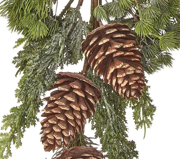 VALERIE PARR HILL 48 Pine/spruce With Pinecones Bundle Valerie
