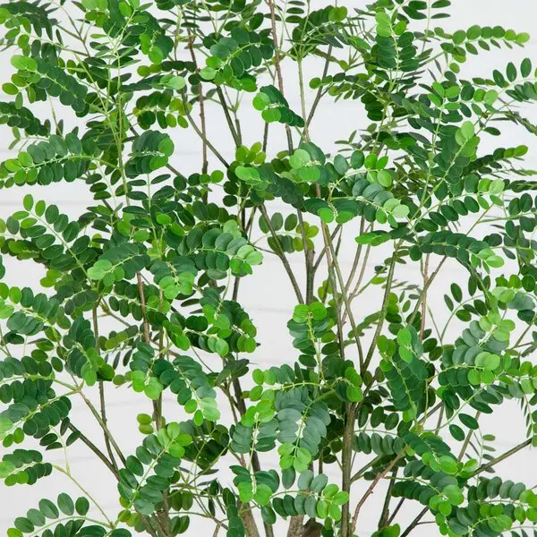NEARLY NATURAL 7' Artificial Greco Citrus Tree With Real Touch Leaves