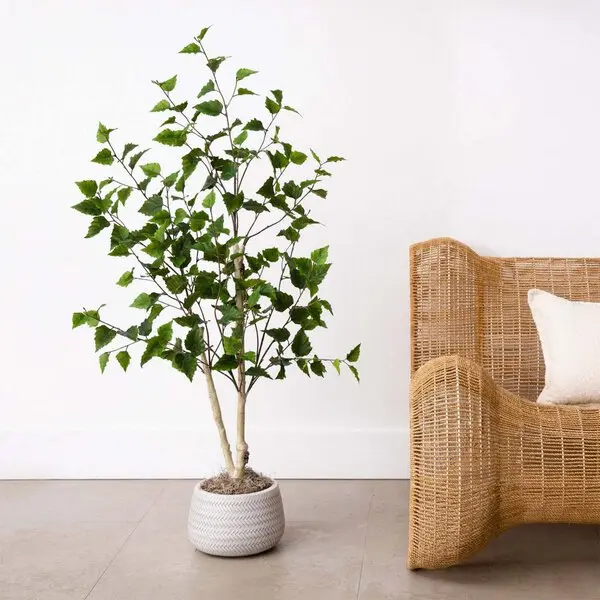 NEARLY NATURAL 4' Artificial Birch Tree With Real Touch Leaves