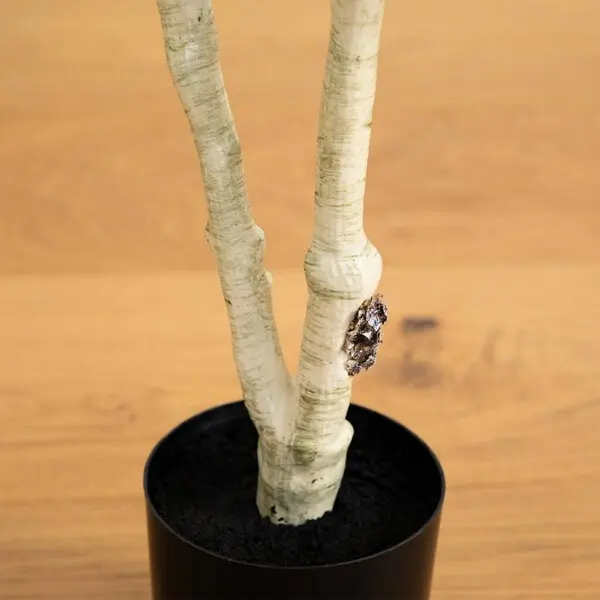 NEARLY NATURAL 4' Artificial Birch Tree With Real Touch Leaves