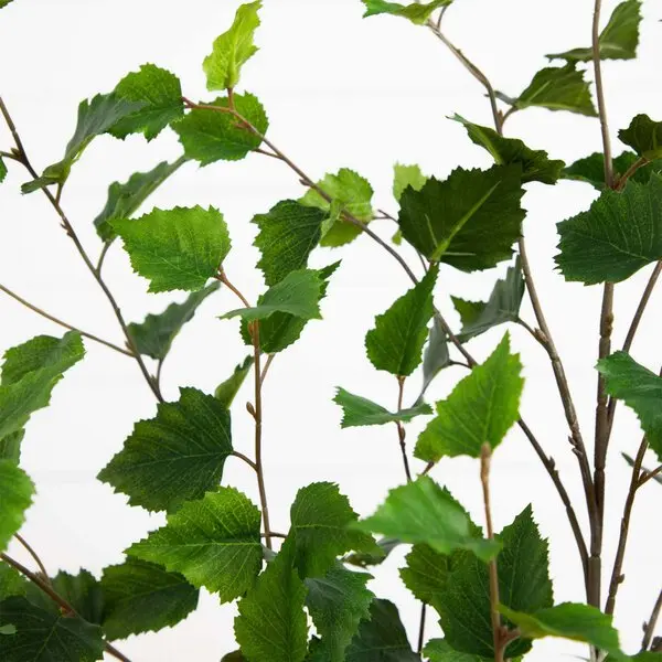 NEARLY NATURAL 4' Artificial Birch Tree With Real Touch Leaves
