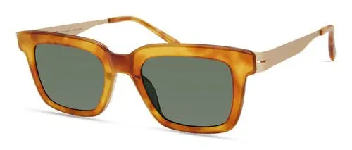 MODO 473 Sunglasses - Blonde Tortoise
