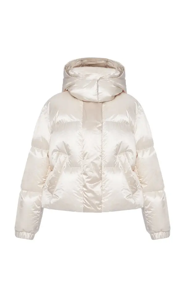 Moncler Briancon Technical Organza Down Jacket