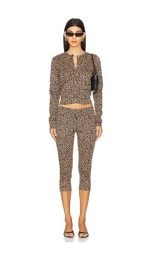 Lioness X Cardi