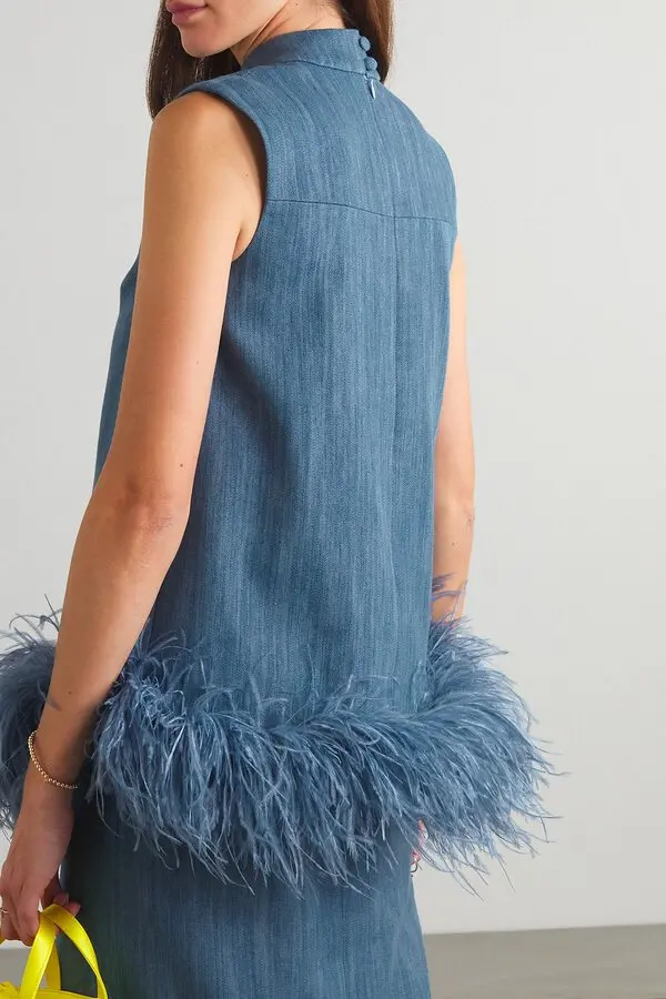 Huishan Zhang Yubi Feather-trimmed Chambray Top