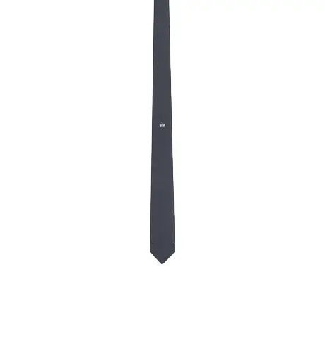 KAWS X Dior Bee Silk Tie - Grey