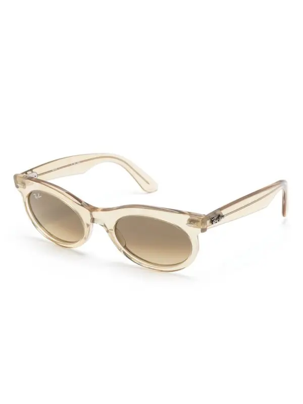 Ray-ban Wayfarer Oval-frame Sunglasses
