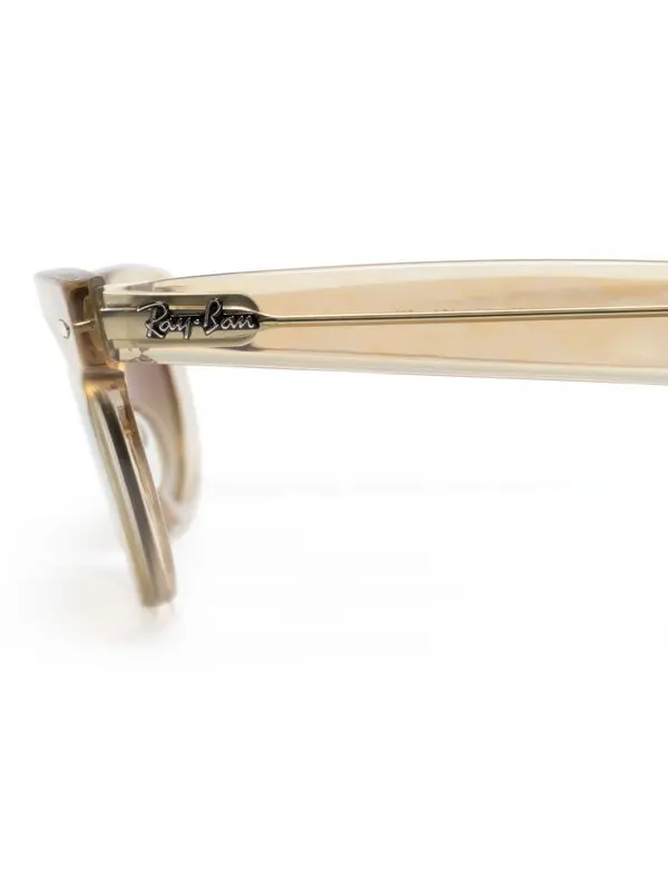 Ray-ban Wayfarer Oval-frame Sunglasses