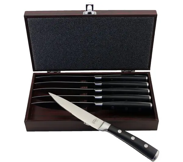 BERGHOFF Classico 6-piece Steak Knife Set With Den Case