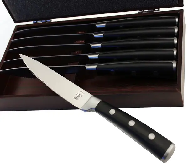 BERGHOFF Classico 6-piece Steak Knife Set With Den Case