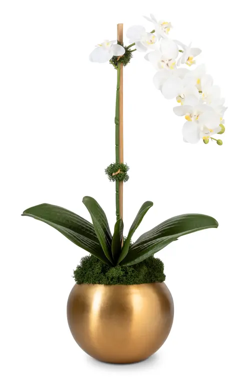 COCOBELLA Adeline Realtouch Orchid - Gold