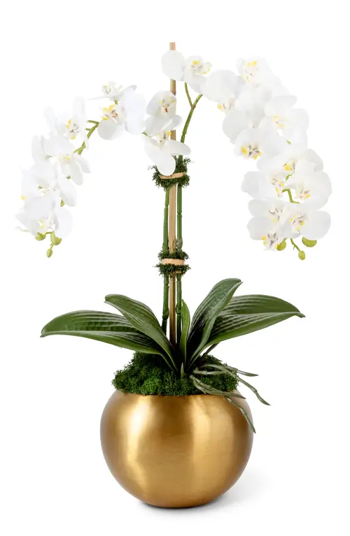 COCOBELLA Adeline Realtouch Orchid - Snow