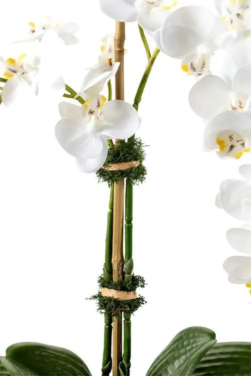 COCOBELLA Adeline Realtouch Orchid - Snow