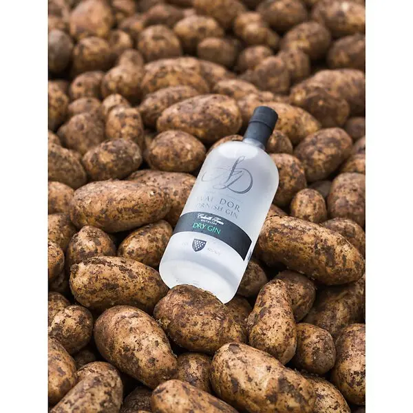 AVAL DOR Colwith Farm Cornish Dry Gin