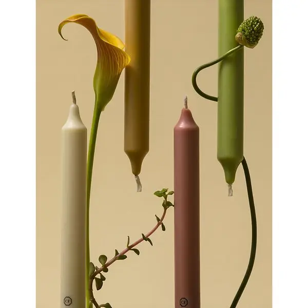 CARRIERE FRERES Taper -scented Set Of Six Wax Candles - Tomato