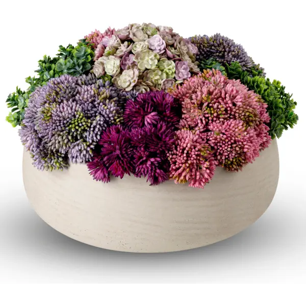 COCOBELLA Georgina Sedum Arrangement - Ash
