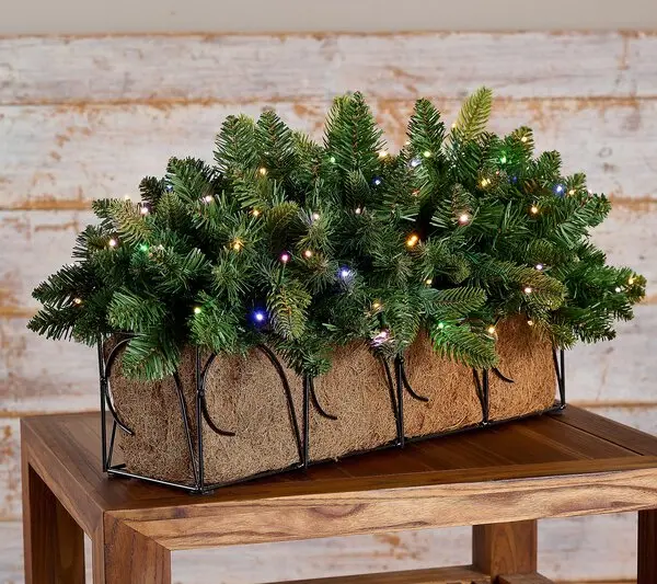 BETHLEHEM LIGHTS 30' Window Box With 3-in-1 Micro Leds
