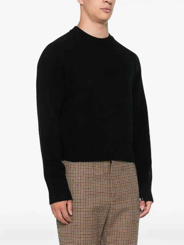 Extreme Cashmere Nº167 Please Sweater