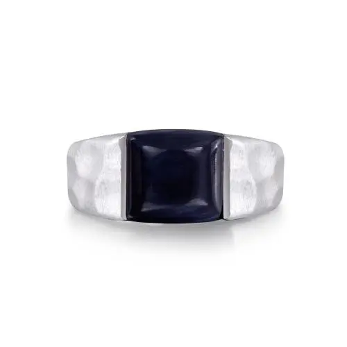 LUVMYJEWELRY Sterling Pietersite Signet Ring - Silver