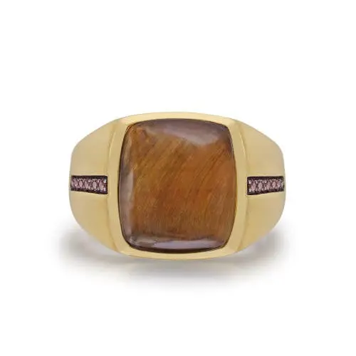 LUVMYJEWELRY Sterling Silver Chatoyant Tiger Eye And Diamond Signet Ring - 14kt Gold Vermeil On Sterling