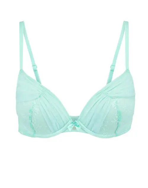 ADORE ME Wren Push Up Plunge Bra