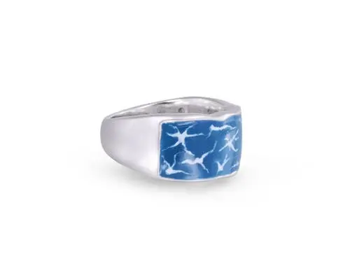 LUVMYJEWELRY Sterling & Enamel Band Ring