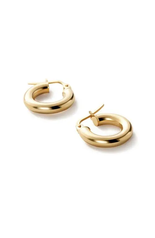 ANA LUISA Classic Hoop Earrings