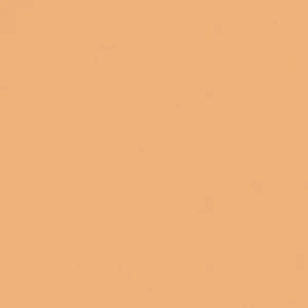 Bobbi Brown Skin Concealer Stick - Neutral