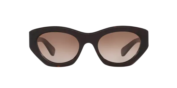 Chloé Ch0220s Sunglasses - Brown
