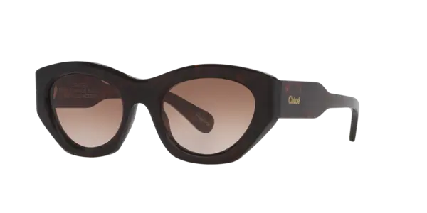 Chloé Ch0220s Sunglasses - Brown