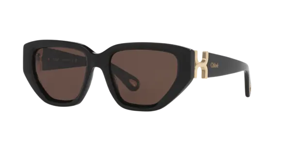 Chloé Ch0235s Sunglasses - Brown