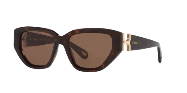 Chloé Ch0235s Sunglasses - Brown