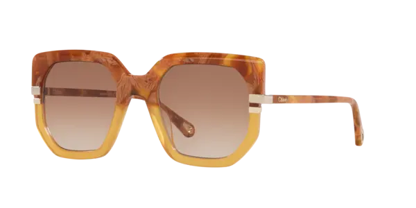Chloé Ch0240s Sunglasses - Brown