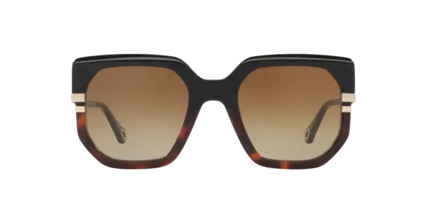 Chloé Ch0240s Sunglasses - Brown
