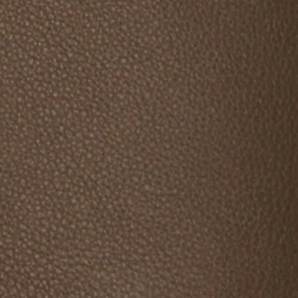 THE ROW N/s Park Leather Tote Bag